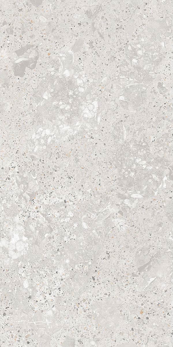 Керамогранитная плитка Roma Gris silk rock в Кишиневе | Plitka